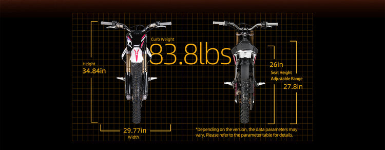 Moto Electrica Sur-Ron Hyper Bee – Ebik.cl